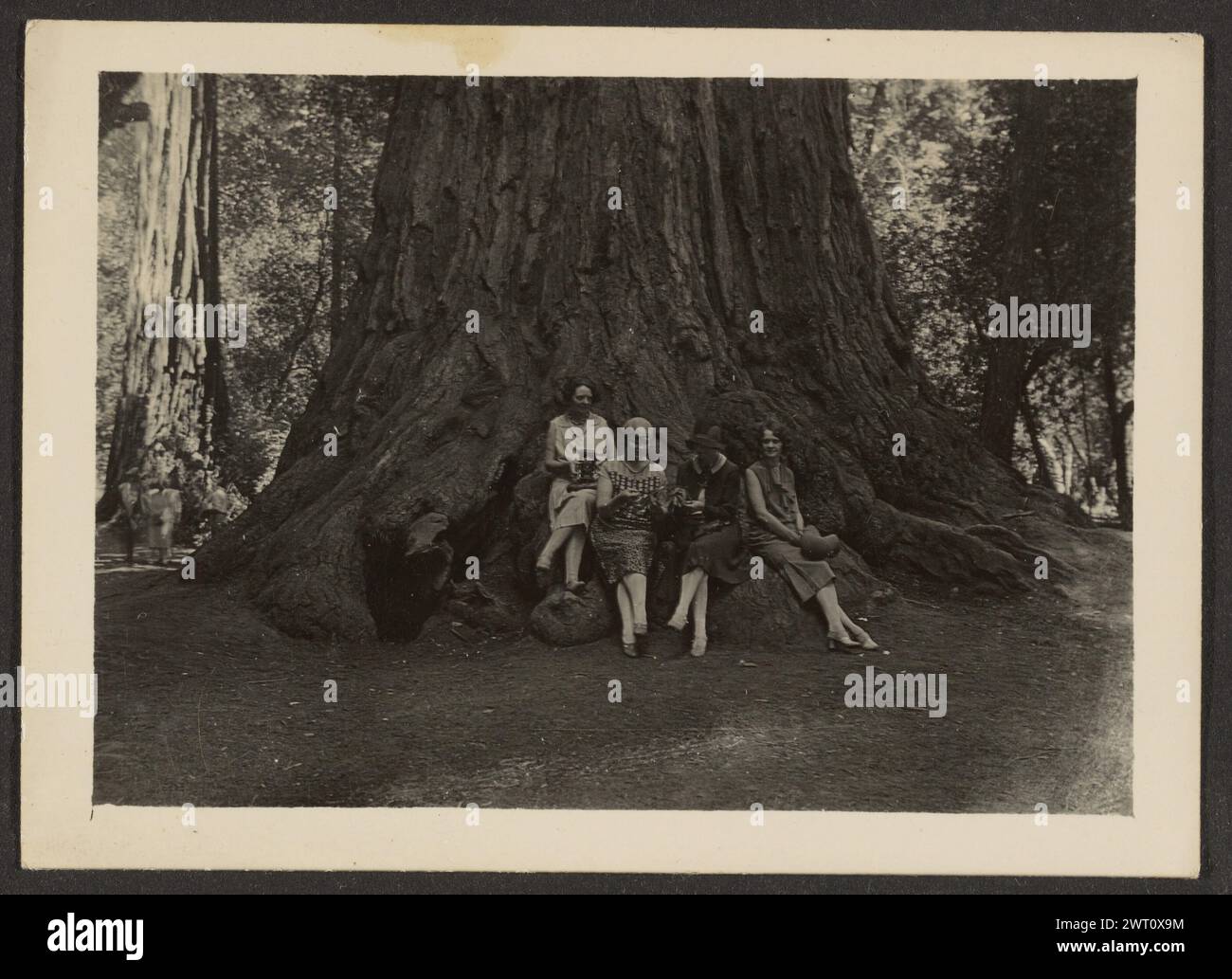 Group Portrait at Base of Tree. Louis Fleckenstein, photographer ...