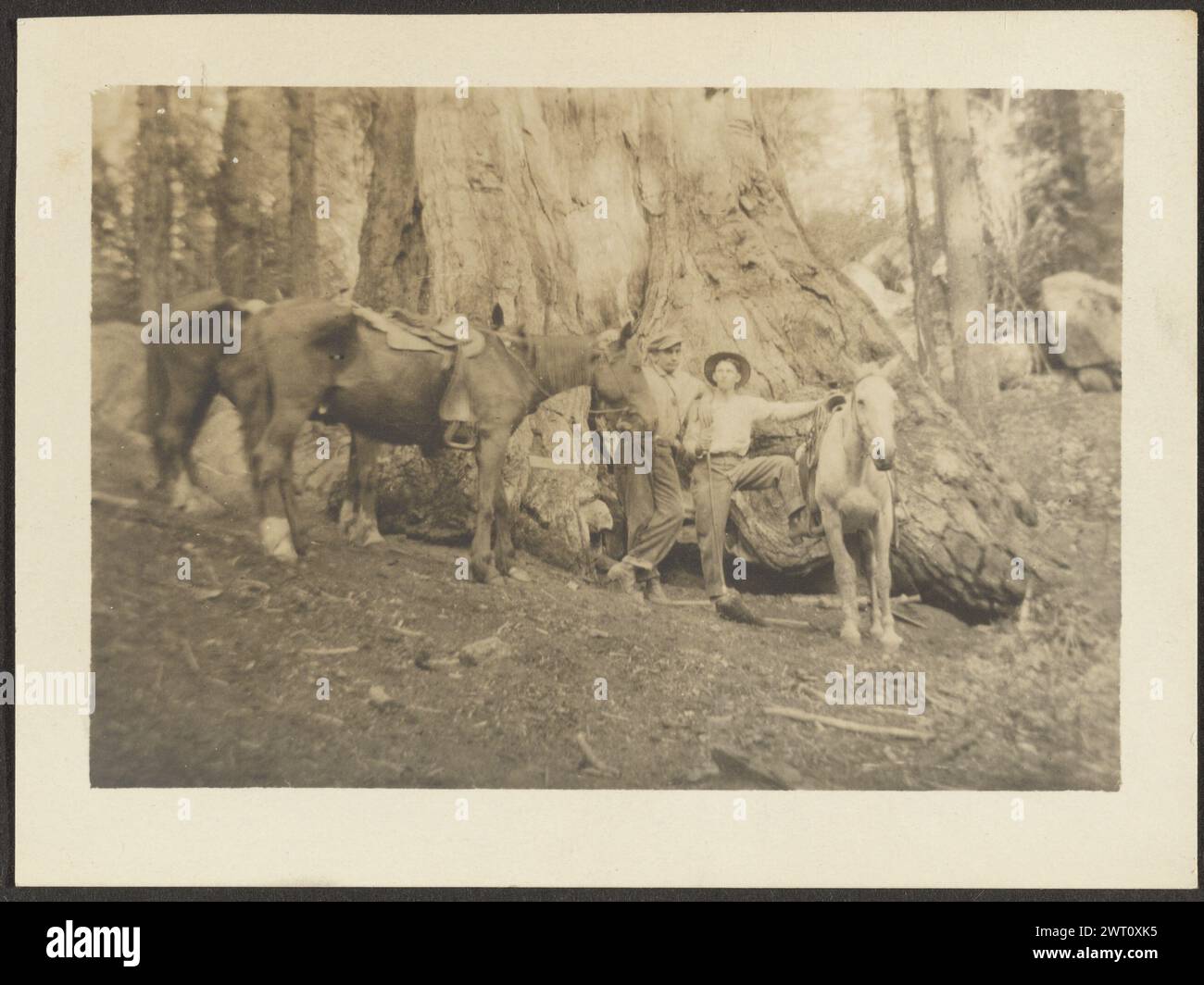 Men and Horses in Forest Clearing. Louis Fleckenstein, photographer ...