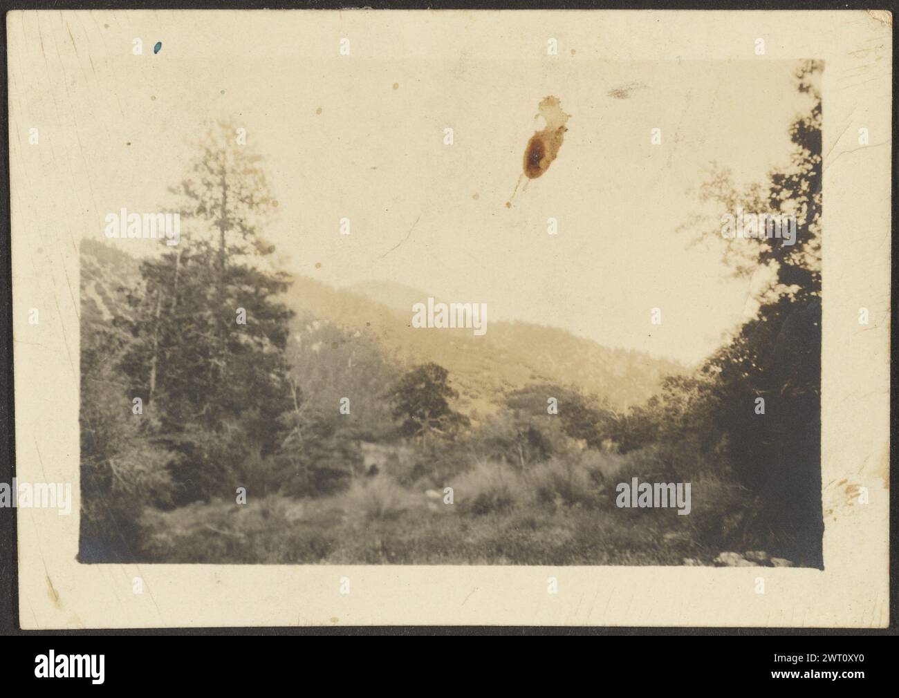 Landscape. Louis Fleckenstein, photographer (American, 1866 - 1943 ...