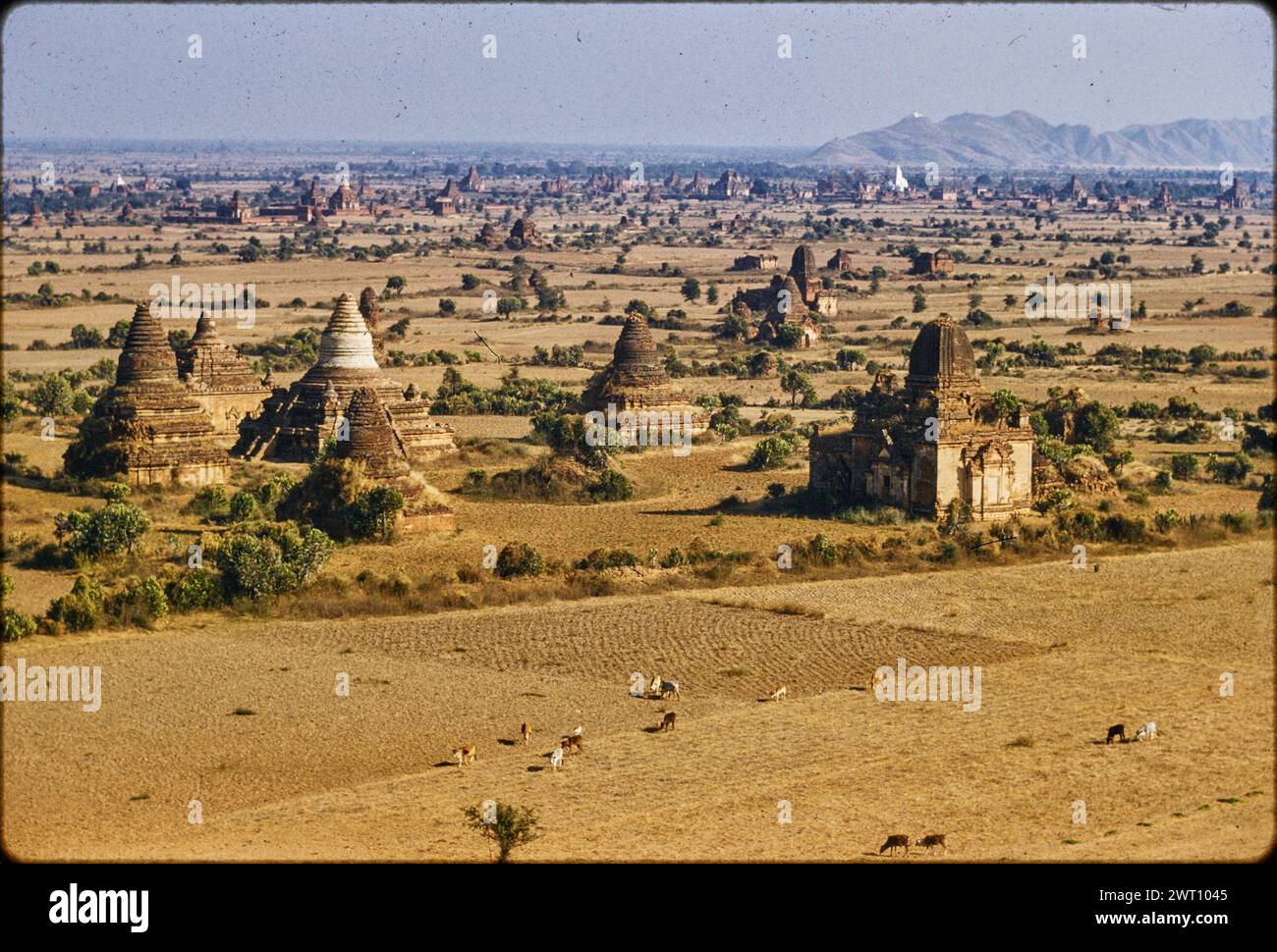 Myanmar (Burma) Pagan Panoramas Unpublished image 3. Swaan, Wim. 1966 ...