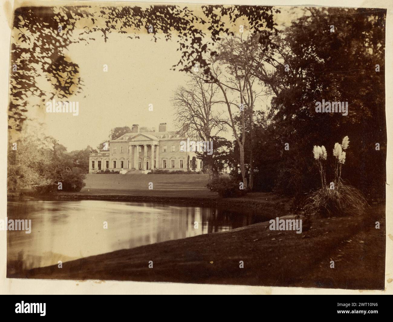 Jocelyn bush hi-res stock photography and images - Alamy