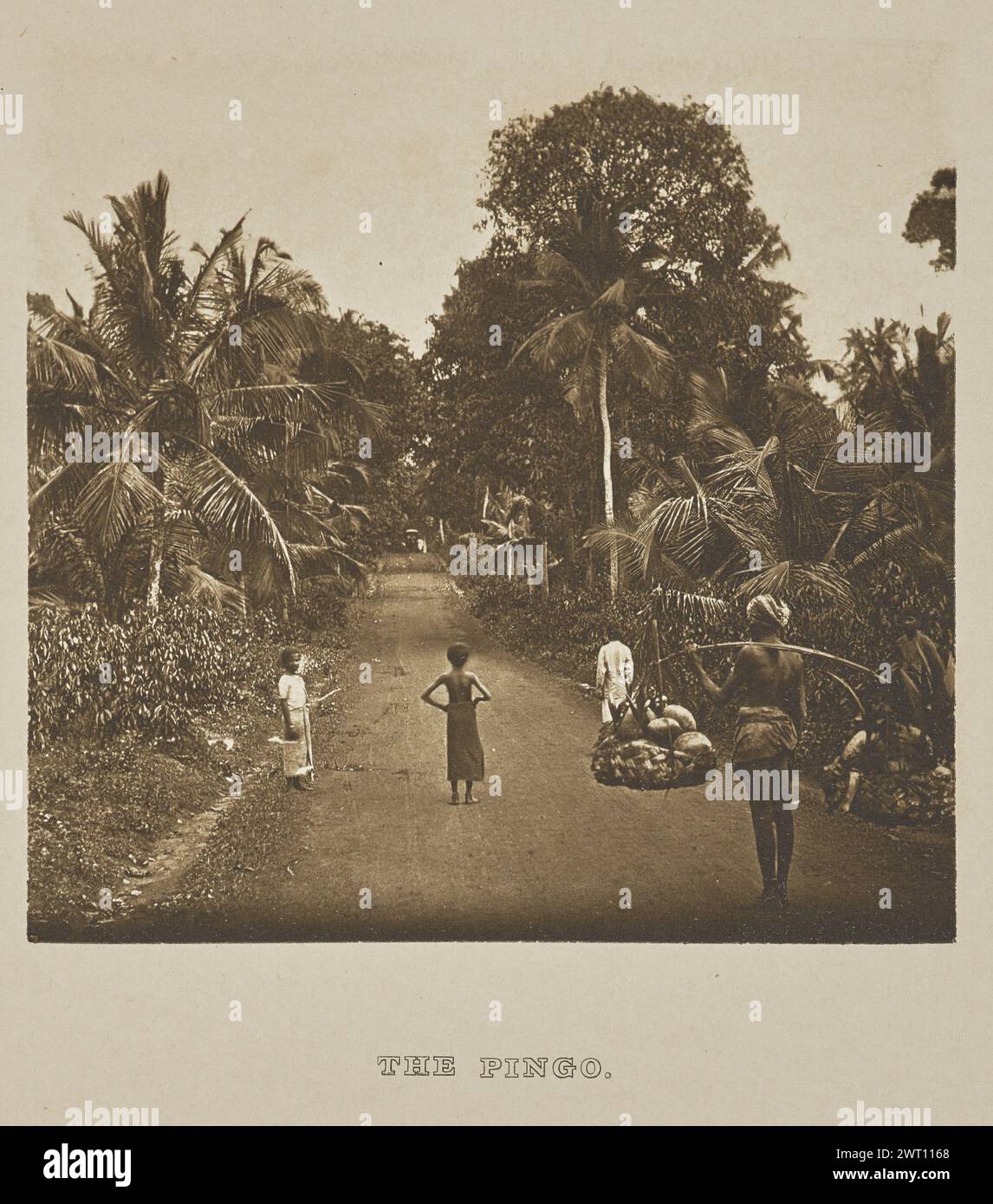 The Pingo. Henry W. Cave, photographer (English, 1854 - 1913) 1893 View ...