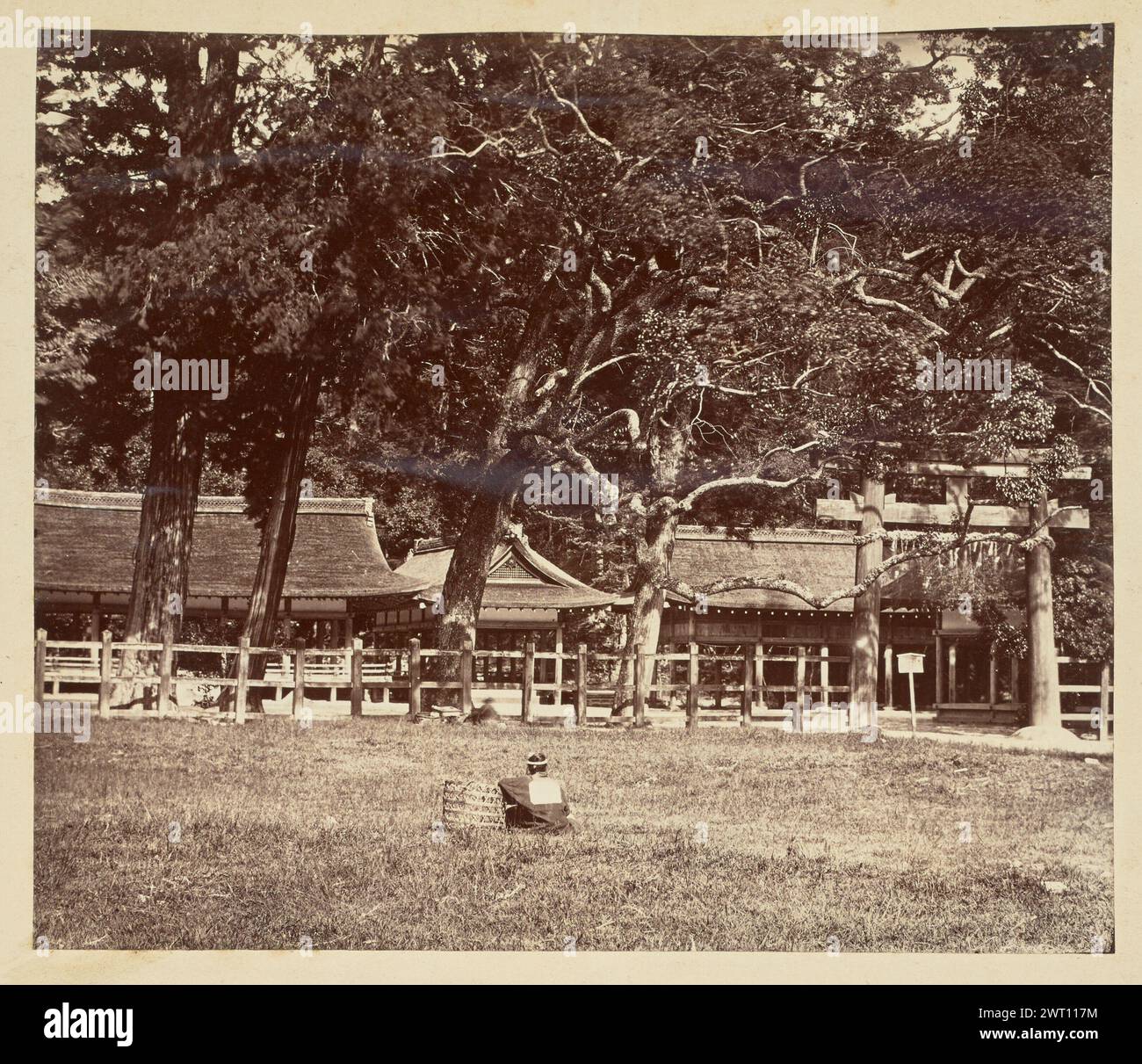 1890s wooden view camera hi-res stock photography and images - Alamy