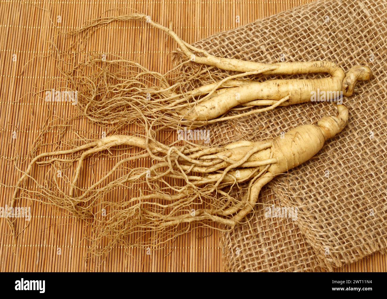 ginseng isolated on white background Stock Photo - Alamy
