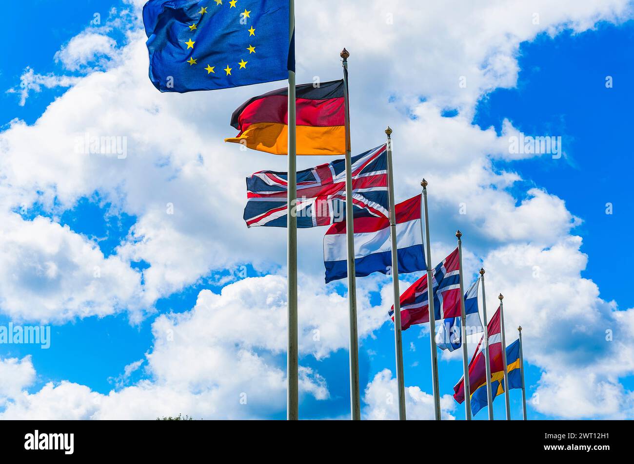 A cluster of flags are proudly waving in the air, showcasing their ...