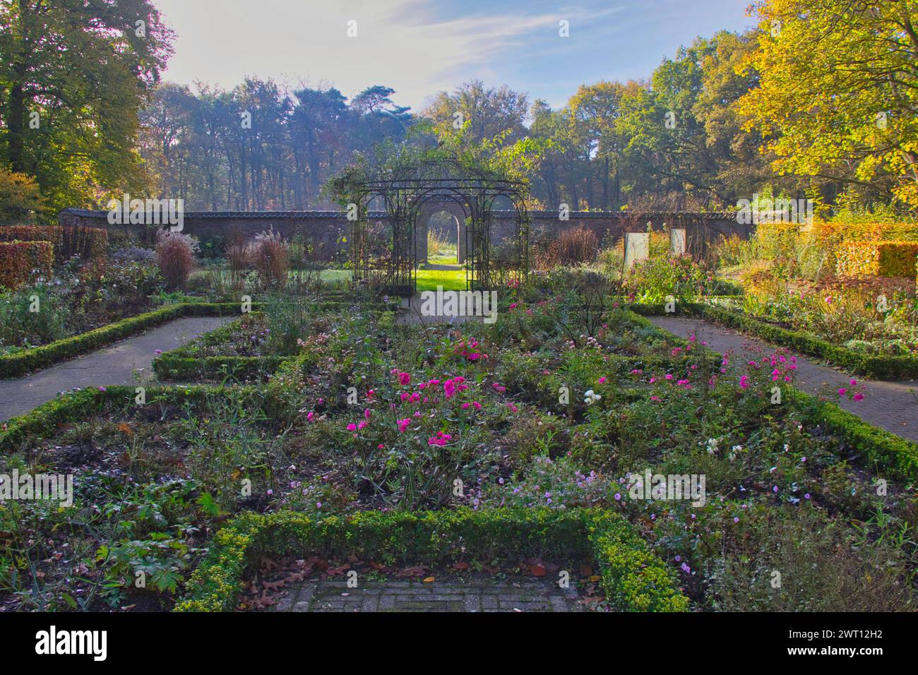 The image depicts a beautifully structured rose garden, captured in ...