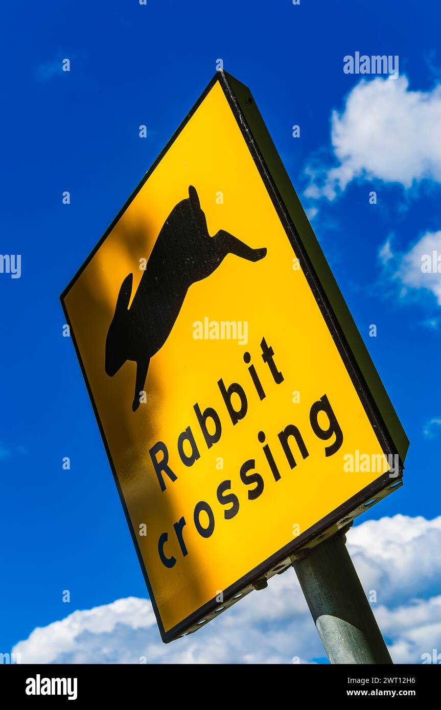 Rabbit crossing hi-res stock photography and images - Alamy