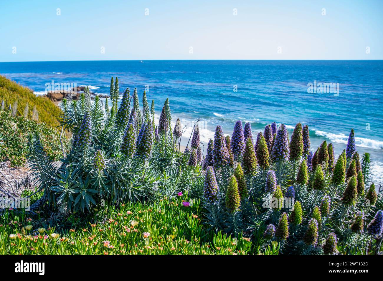 A beautiful overlooking view of nature in Laguna Beach, Californ Stock ...