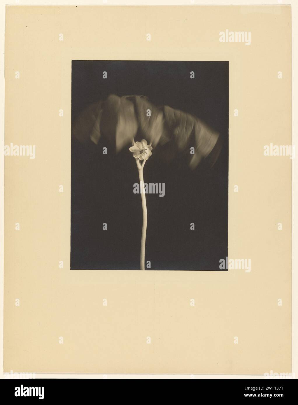 Sam wagstaff hi-res stock photography and images - Alamy