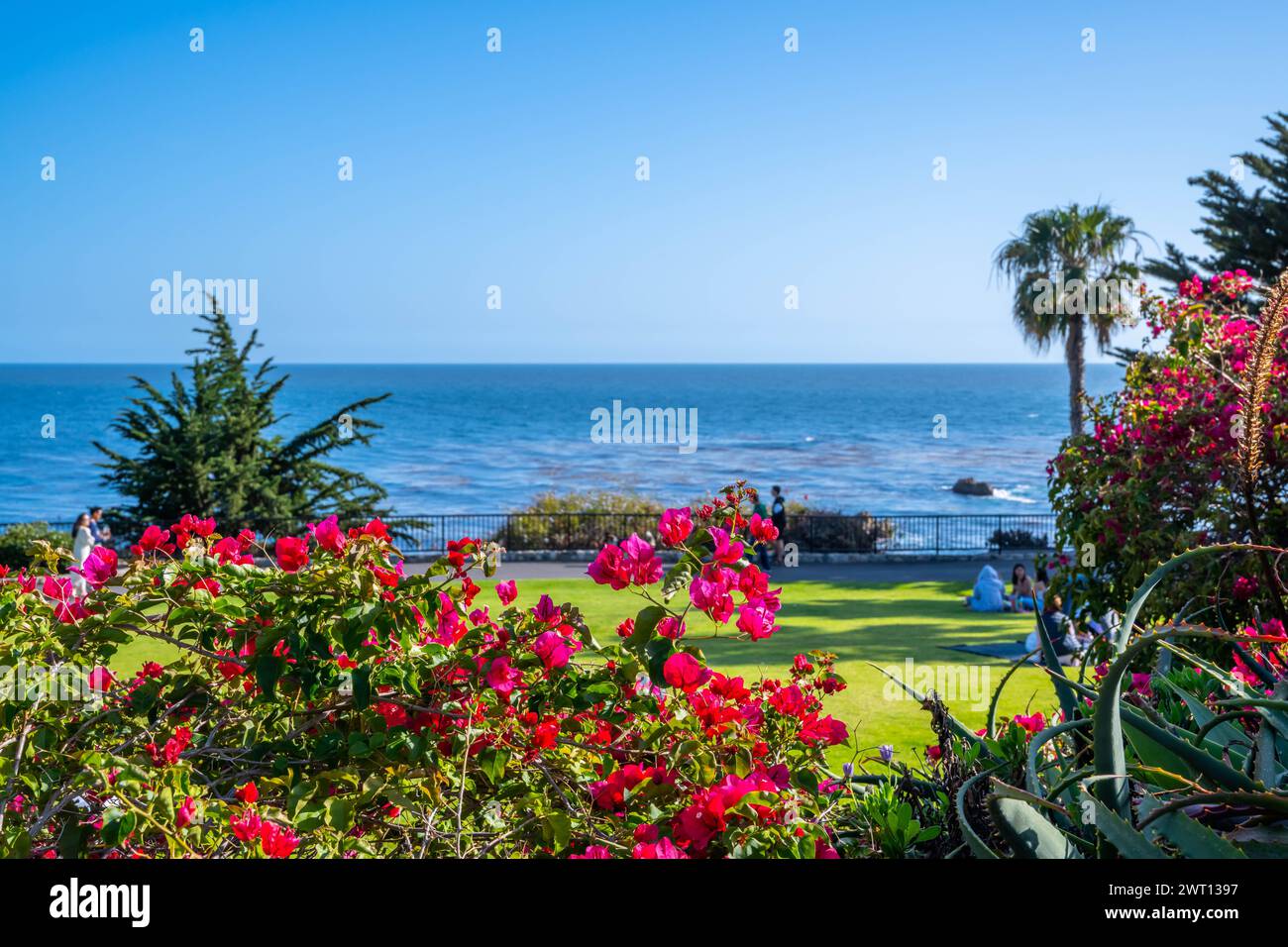 A beautiful overlooking view of nature in Laguna Beach, Californ Stock ...