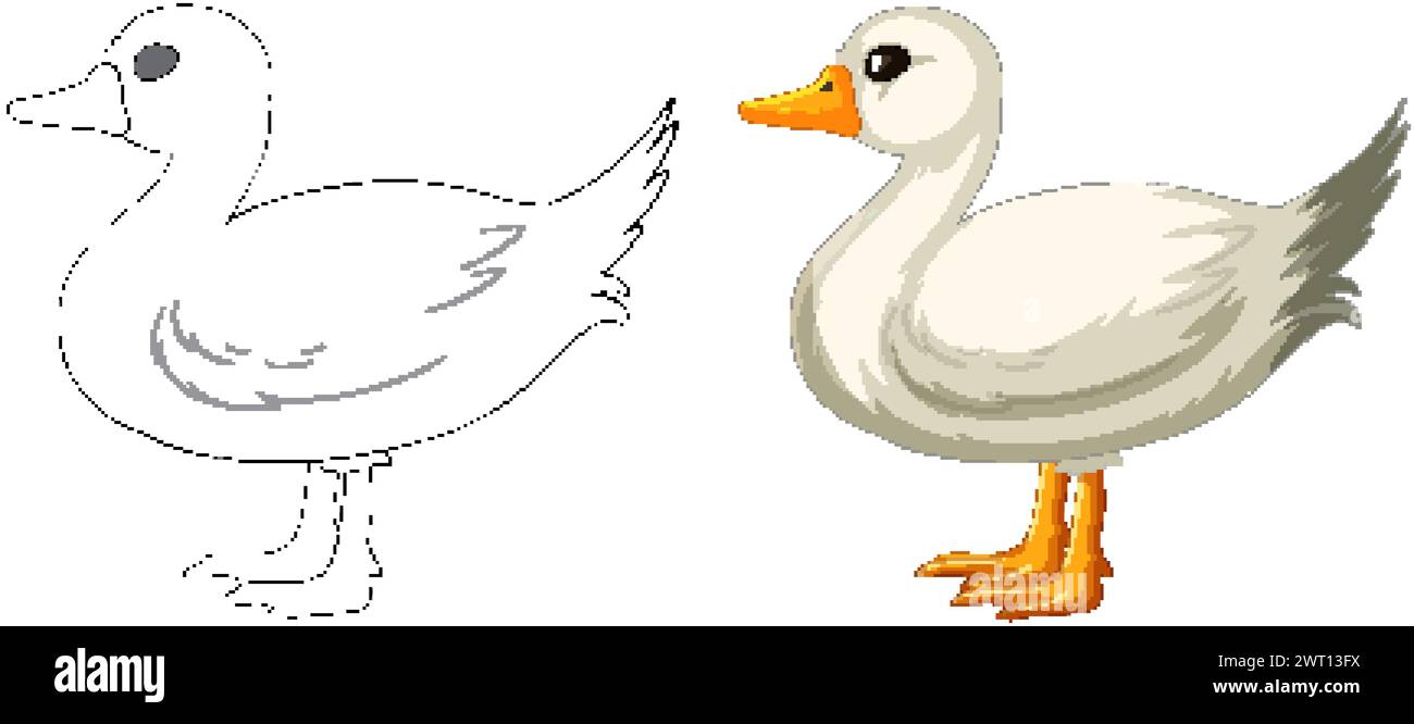 Vector transition from line art to colored duck Stock Vector Image ...