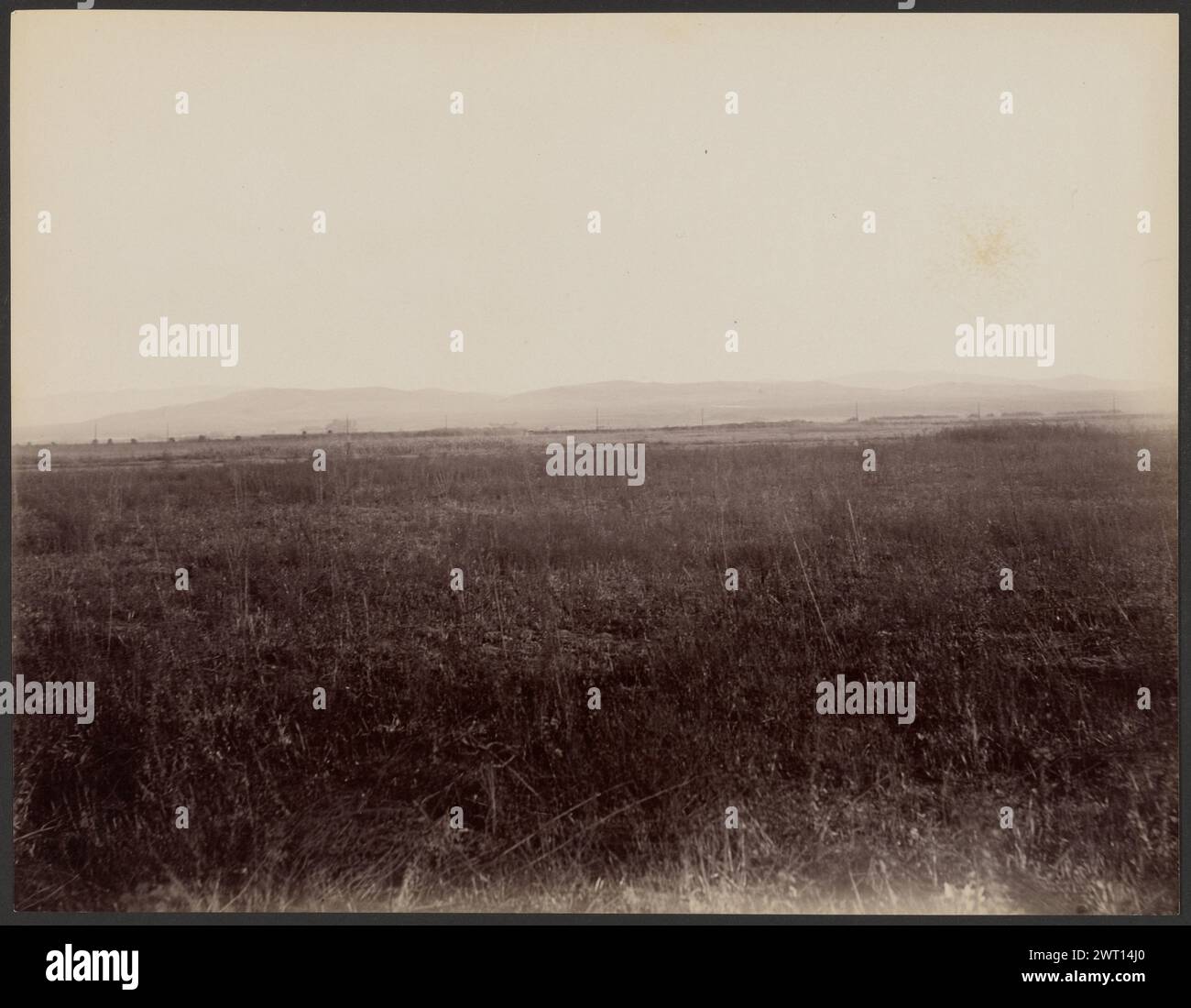 Grassy Plain #3, Los Angeles. Attributed to George Davidson ...