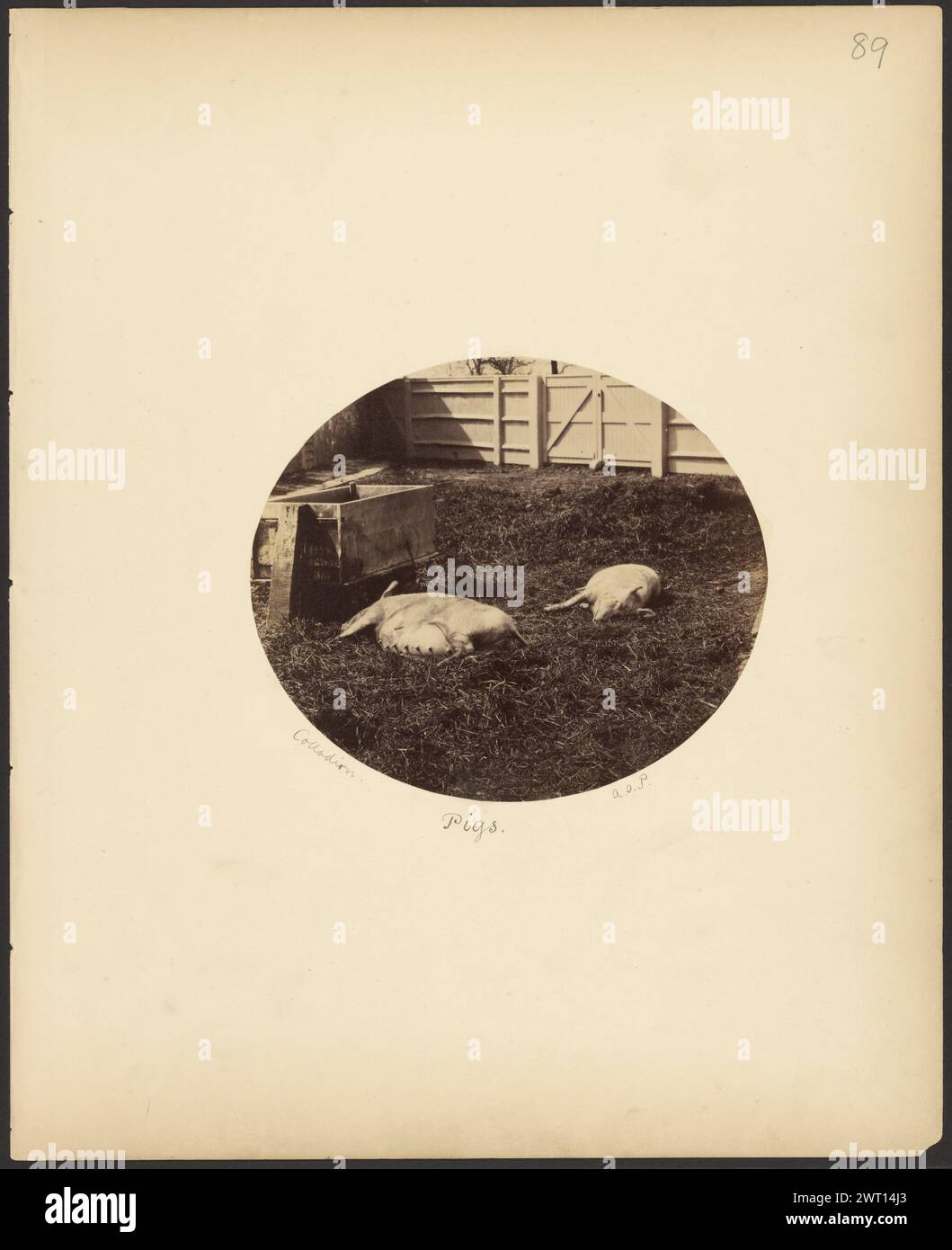 Arthur hay hi-res stock photography and images - Alamy