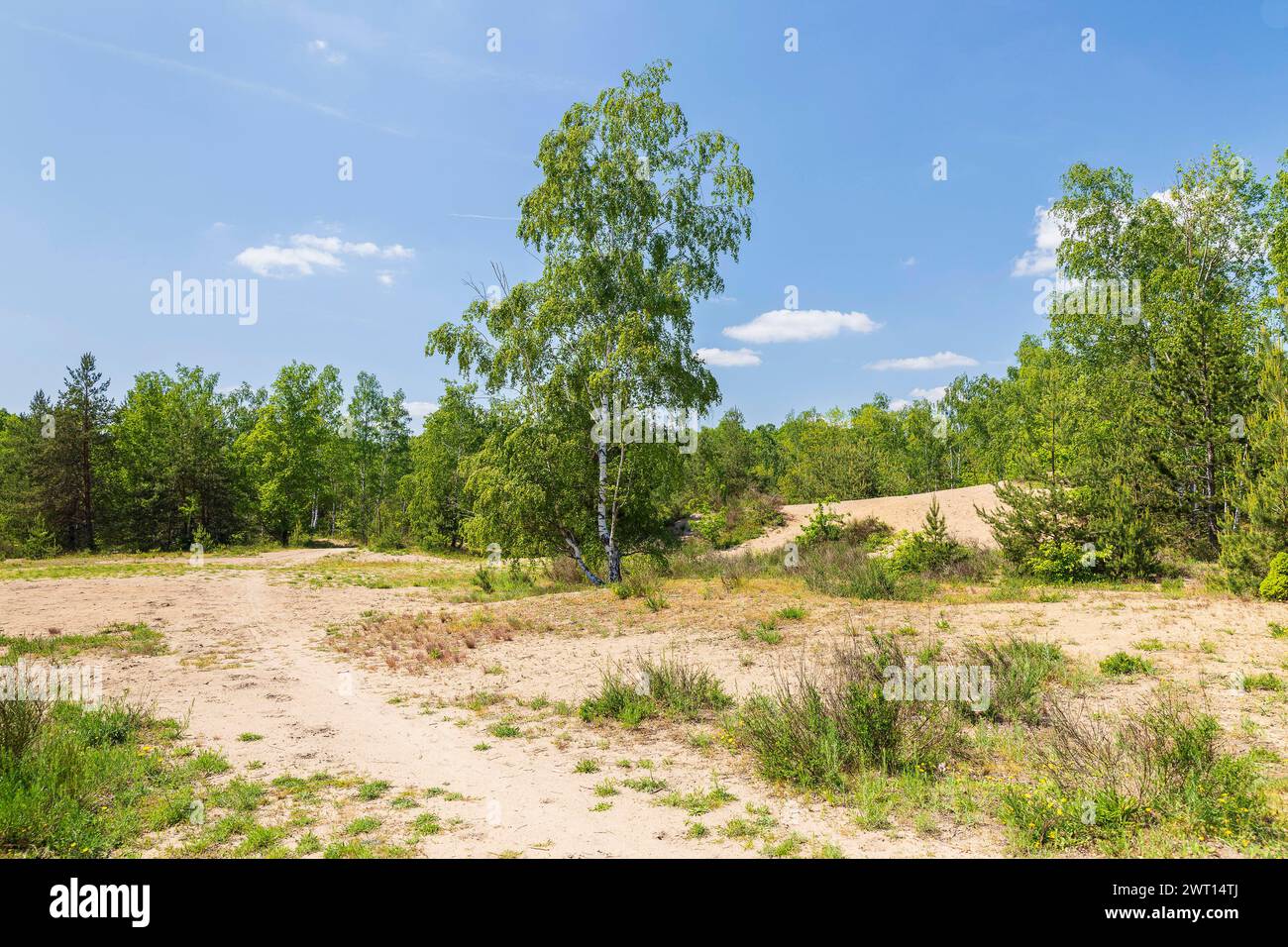Hellerberge hi-res stock photography and images - Alamy