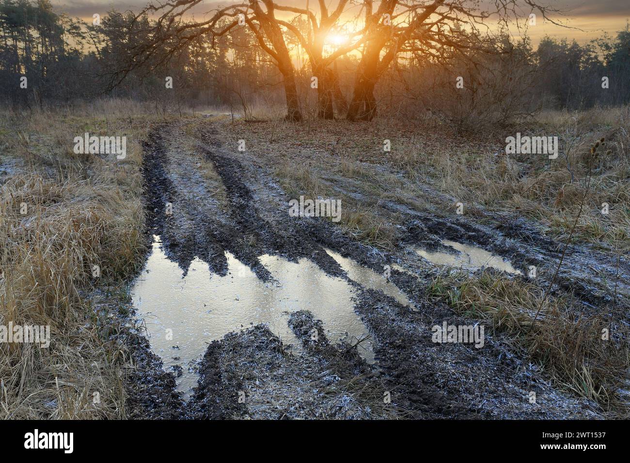 Puddle on path hi-res stock photography and images - Alamy
