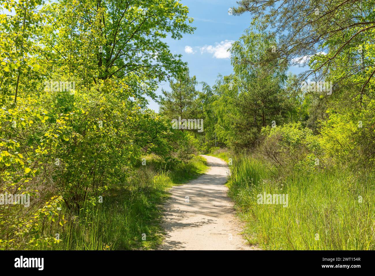 Hellerberge hi-res stock photography and images - Alamy