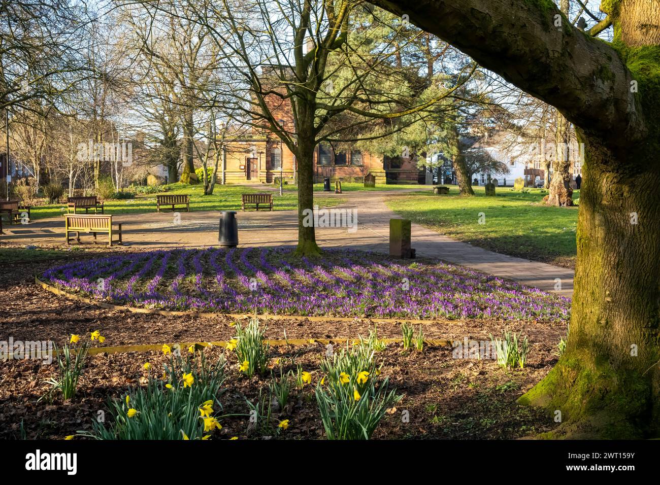 Spring sunshine bathing the garden seating area of St Andrew's Church ...
