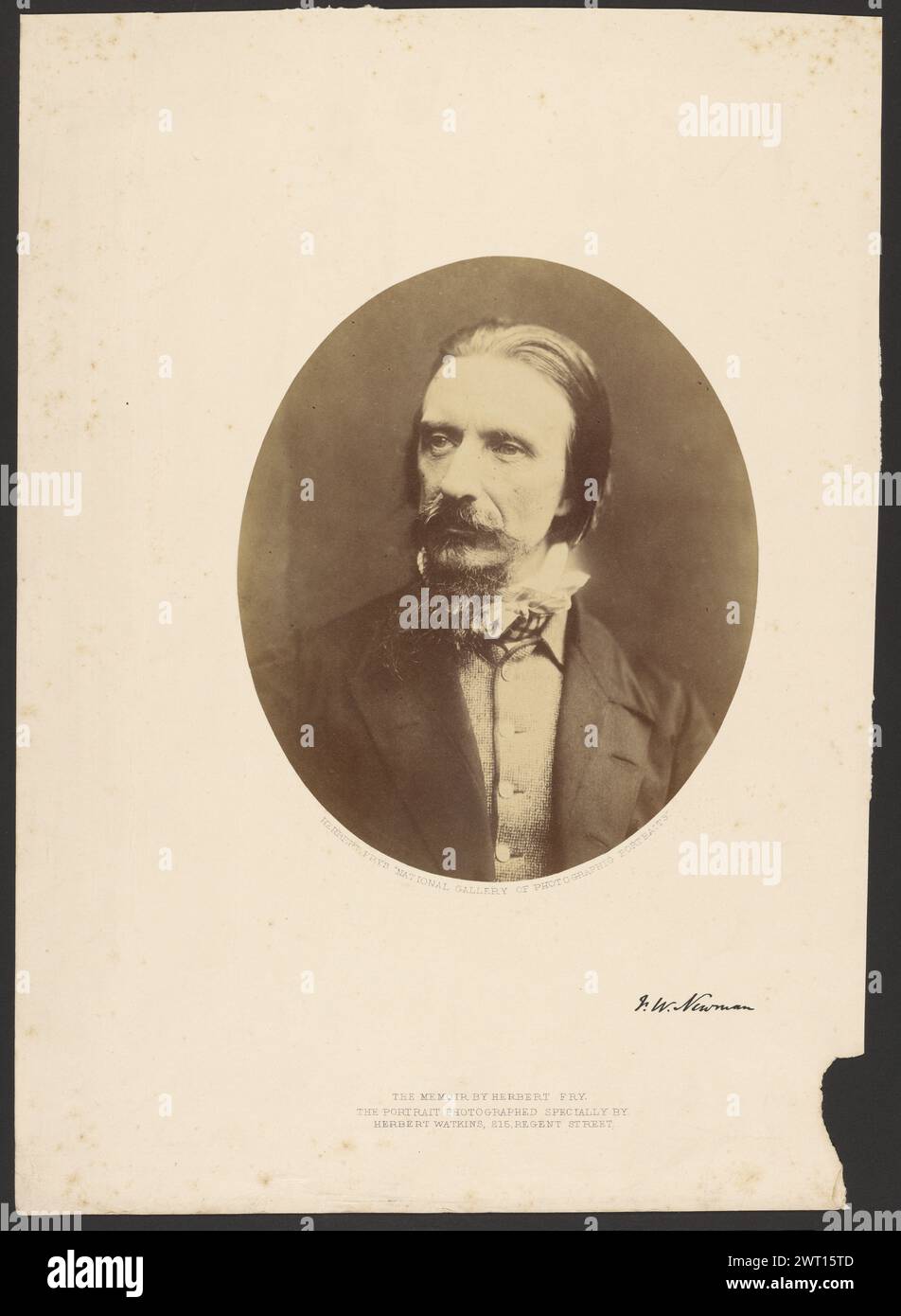 The fry gallery hi-res stock photography and images - Alamy