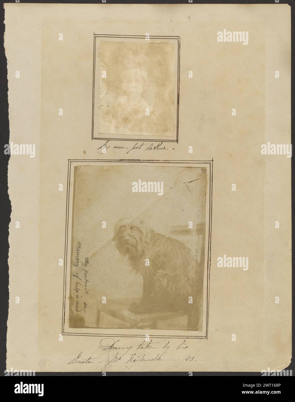 My Wee Pet Arthur. Oscar Gustave Rejlander, photographer (British, born ...