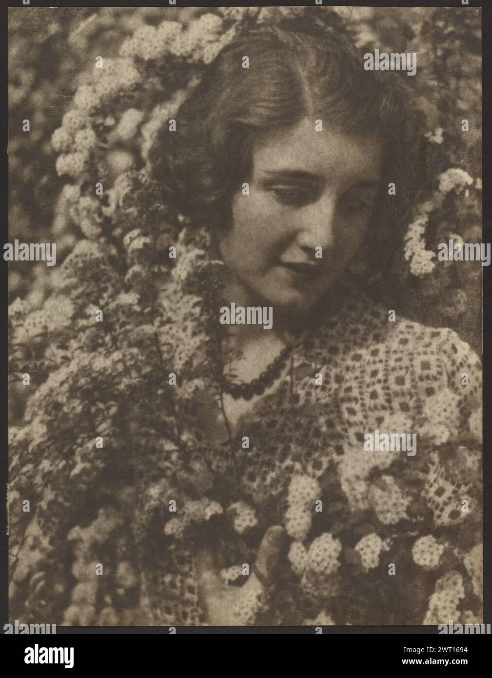 Spirea. Louis Fleckenstein, photographer (American, 1866 - 1943) 1924 ...