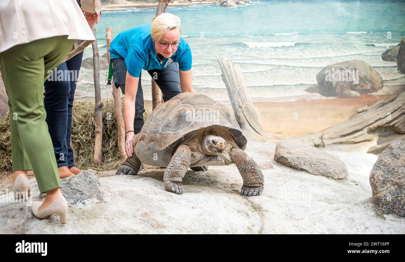 Rostock, Germany. 15th Mar, 2024. Animal keeper Mischelle Reichelt ...
