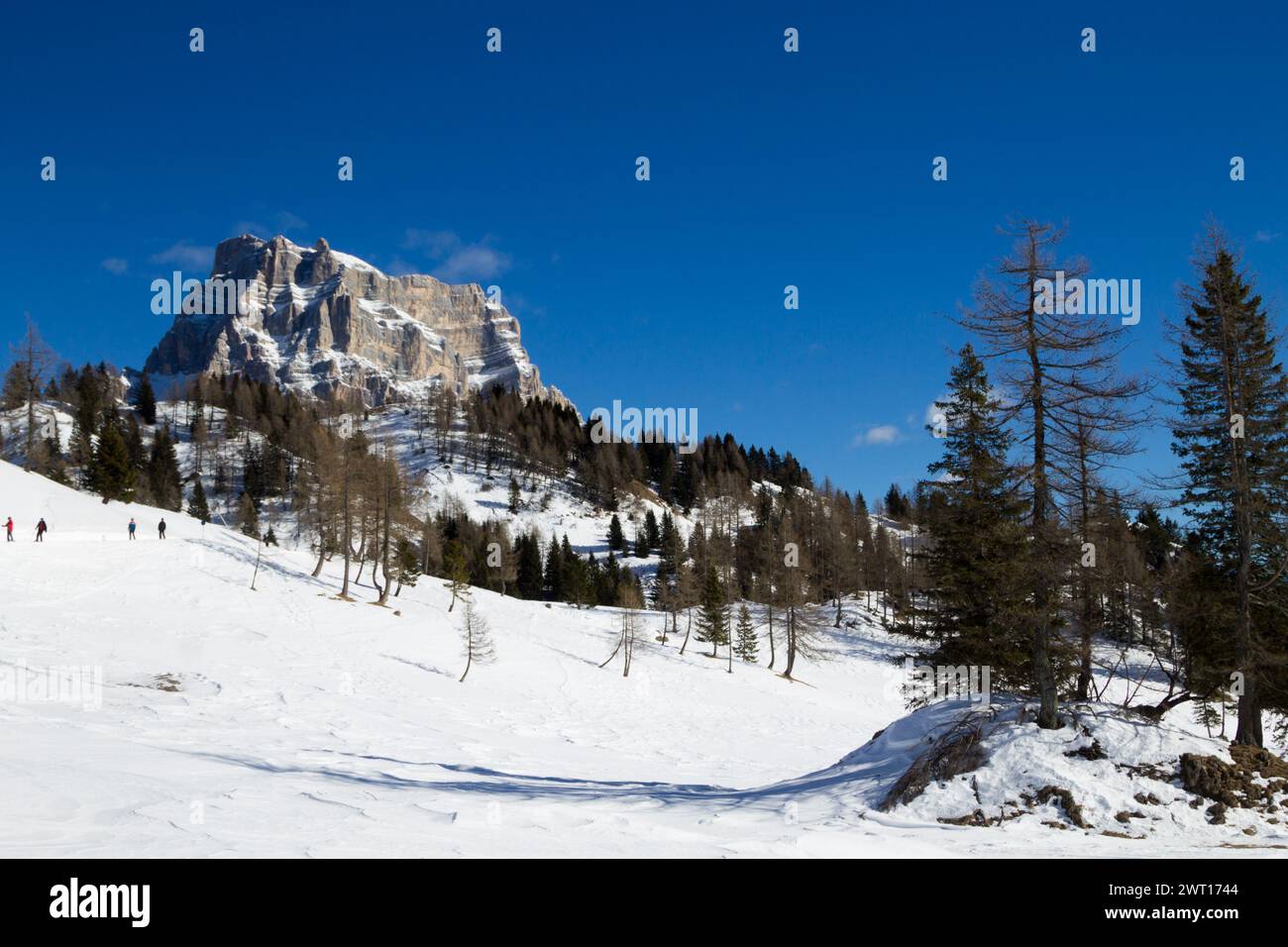 Mount pelmo in background hi-res stock photography and images - Alamy