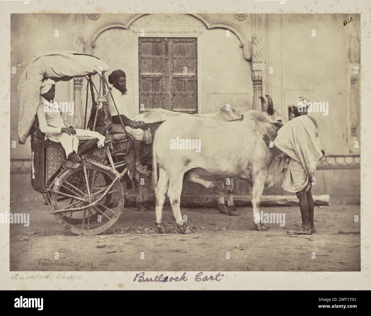An Indian Carriage and Pair. Charles Shepherd, photographer (English ...