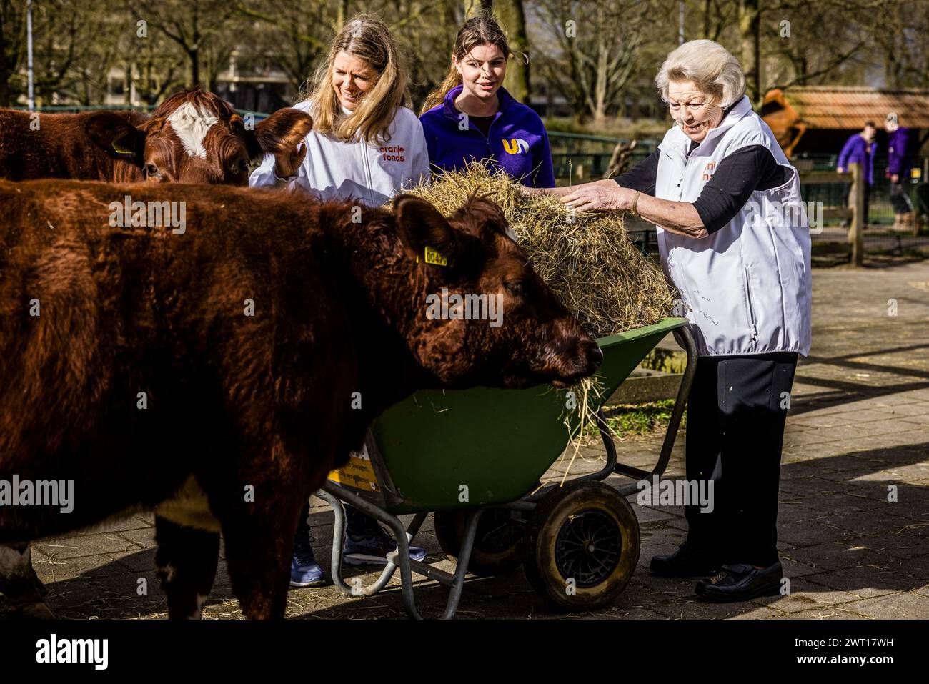 Princess beatrix farm hi-res stock photography and images - Alamy