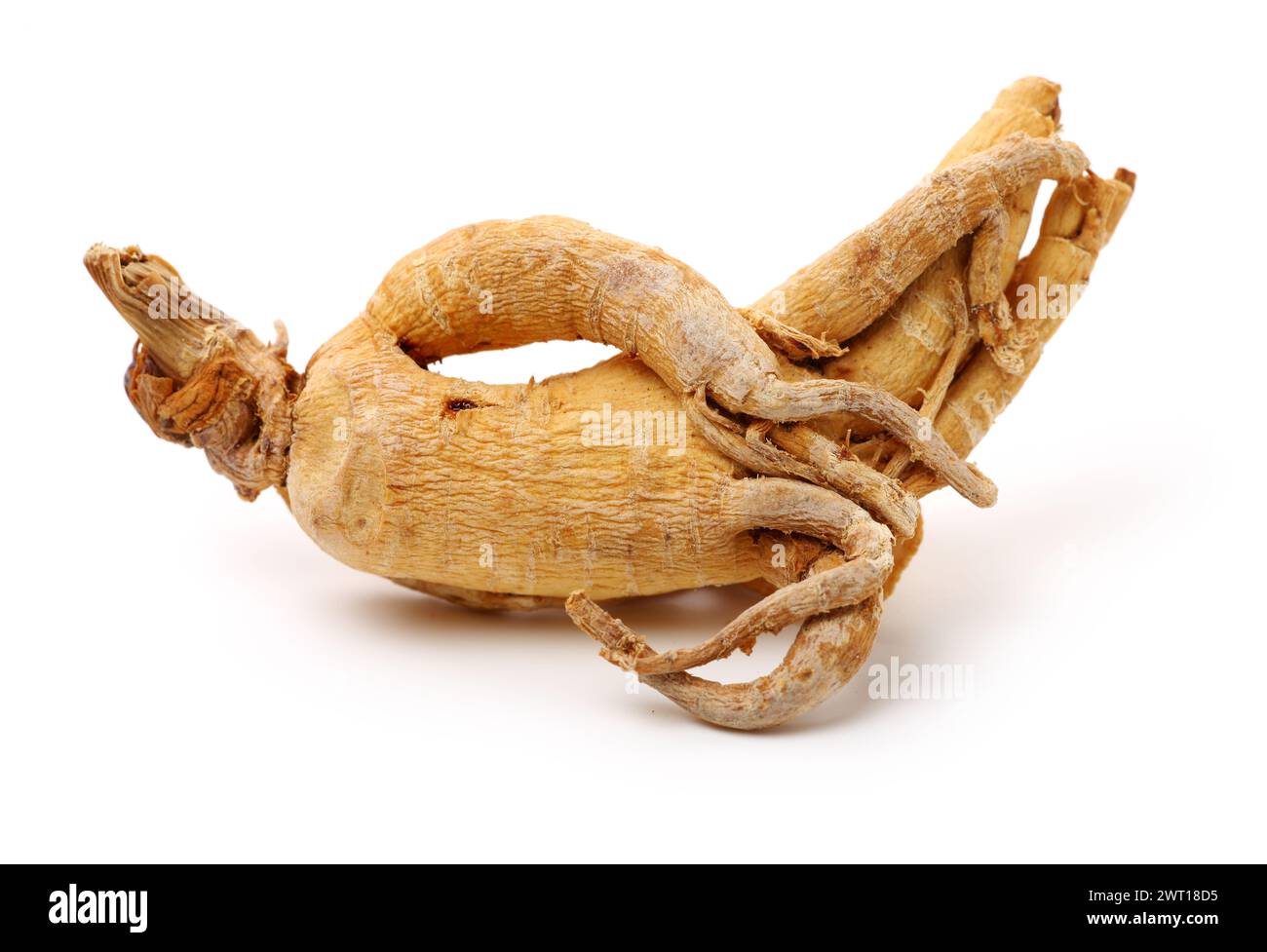 ginseng isolated on white background Stock Photo - Alamy