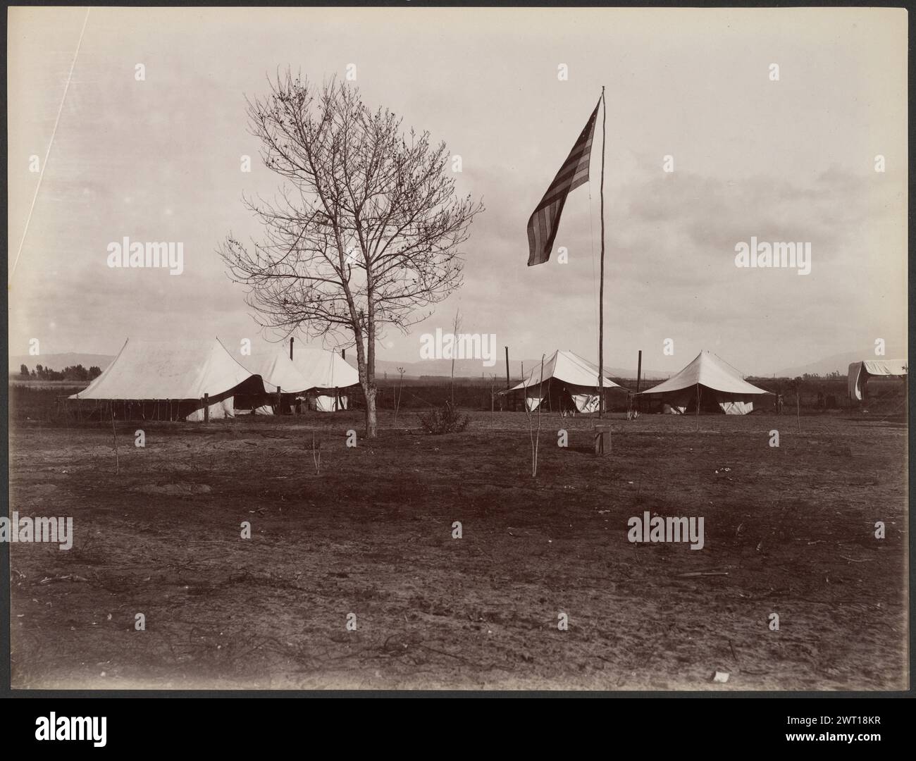 Tents, Flag, Tree. Attributed to George Davidson, photographer ...