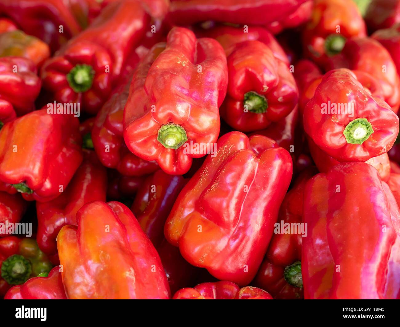Bulk peppers hi-res stock photography and images - Alamy