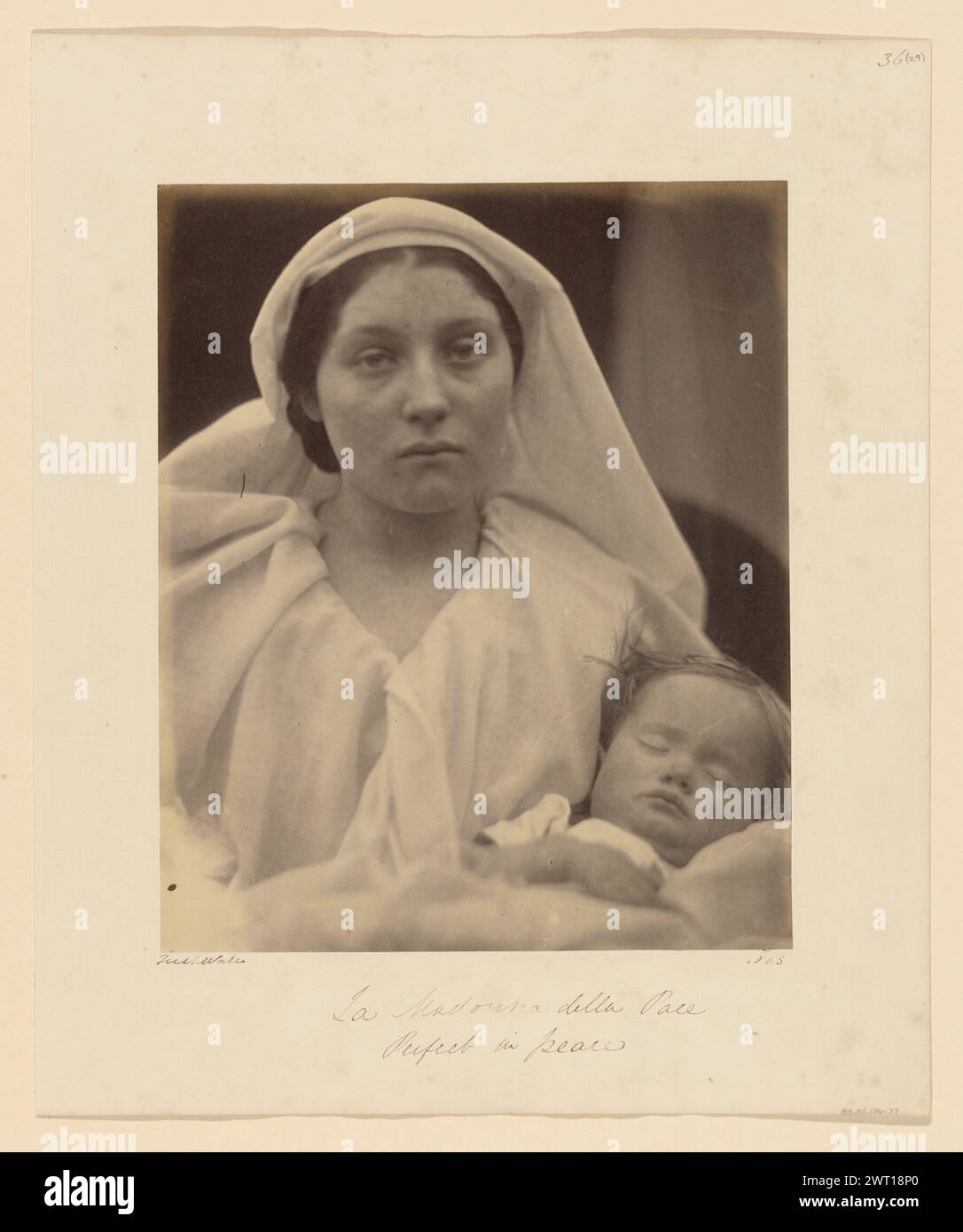 La Madonna della Pace. Julia Margaret Cameron, photographer (British ...