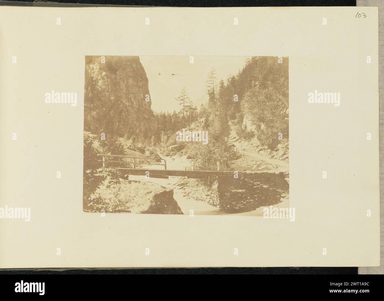 Tête Noire. Sir John Joscelyn Coghill, photographer (Irish, 1826 - 1905 ...