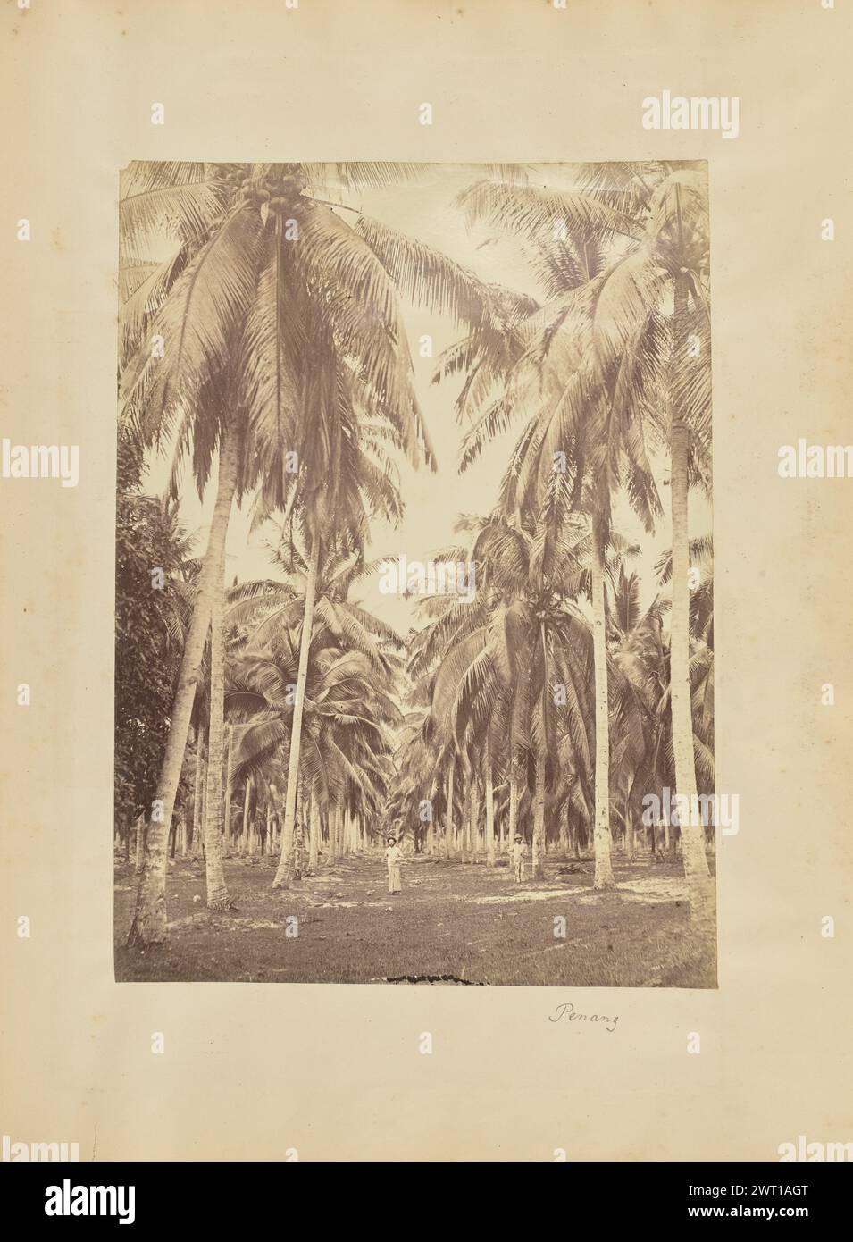 Penang. Unknown, photographer 1850s–1890s View of two men standing ...