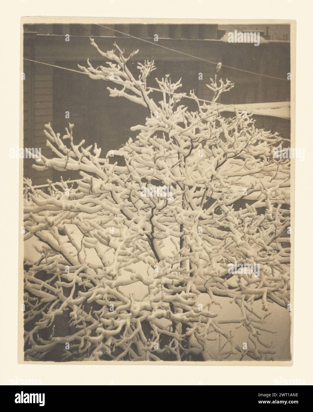 From the Back Window of 291. Alfred Stieglitz, photographer (American ...