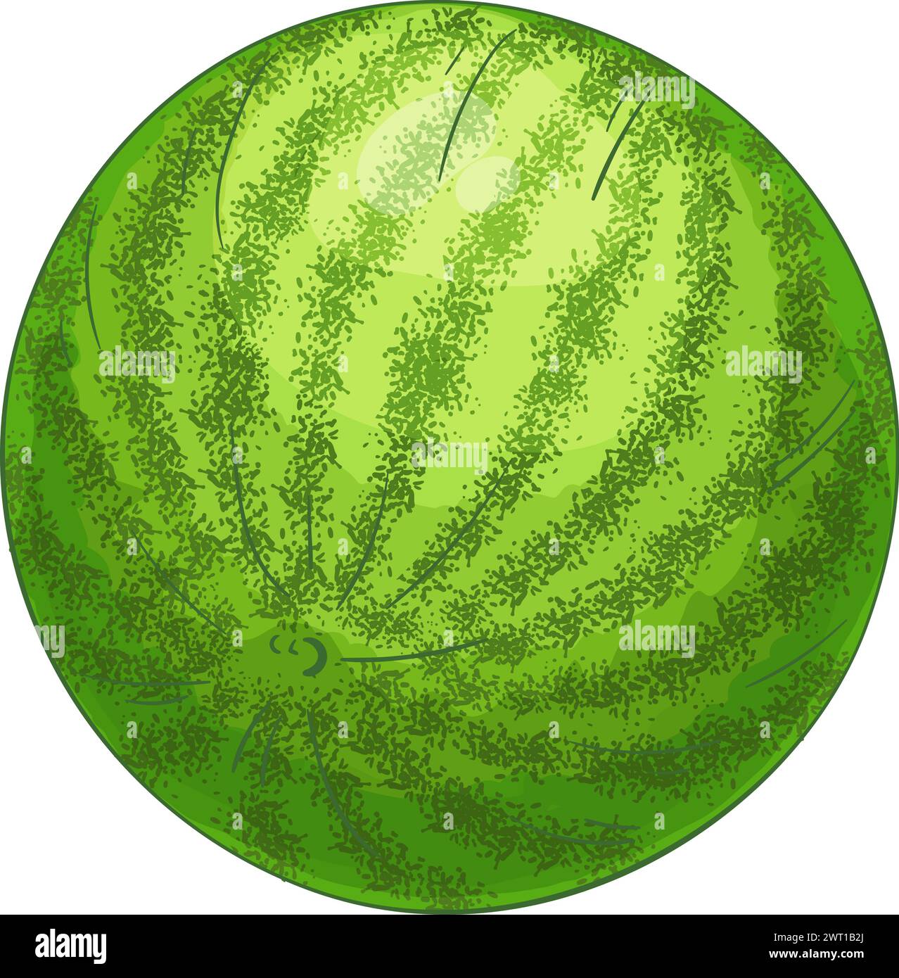 Watermelon Fruit Colored Detailed Illustration Stock Vector Image & Art ...