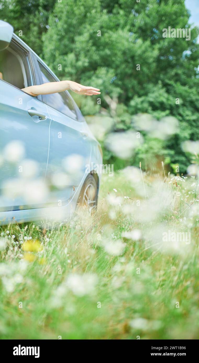 Woman arm reaching out from the side window of a blue car, set against ...