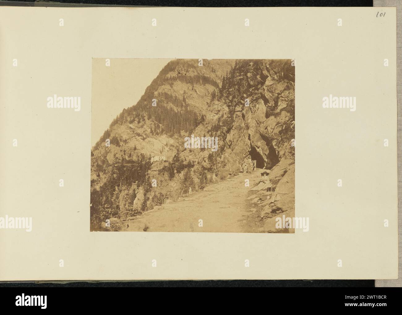 Tête Noire. Sir John Joscelyn Coghill, photographer (Irish, 1826 - 1905 ...