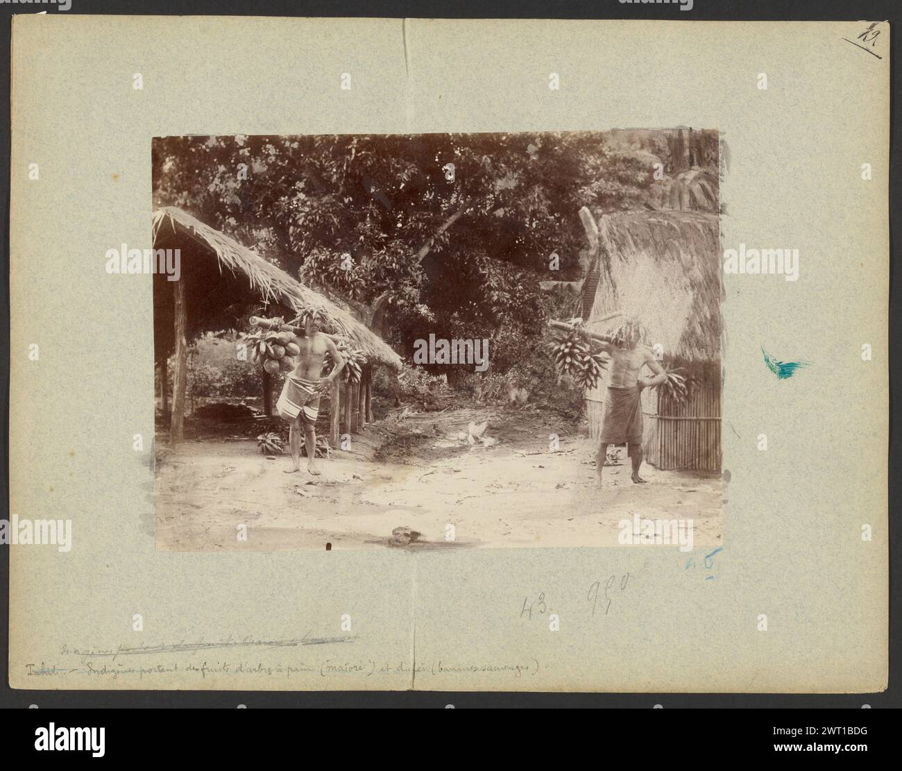 Two Tahitian men carrying fruit. Charles Gustave Spitz, photographer ...