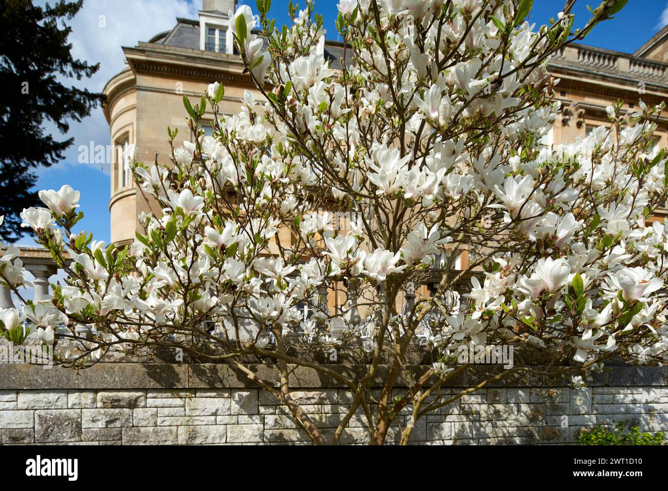 William romaine walker hi-res stock photography and images - Alamy