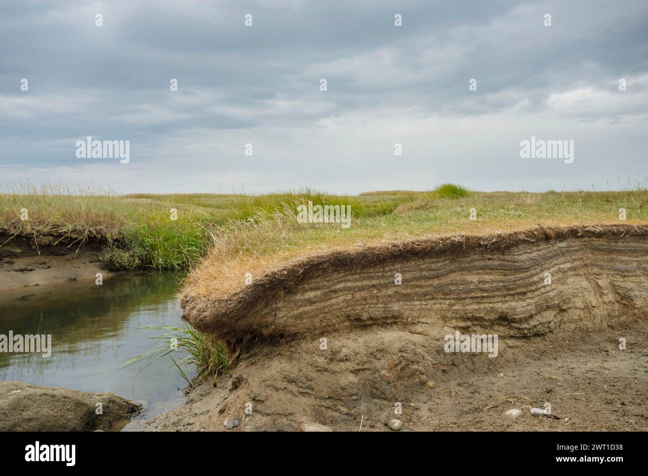 Marsh soil with turf at a tide way, Denmark, Mandoe Stock Photo - Alamy