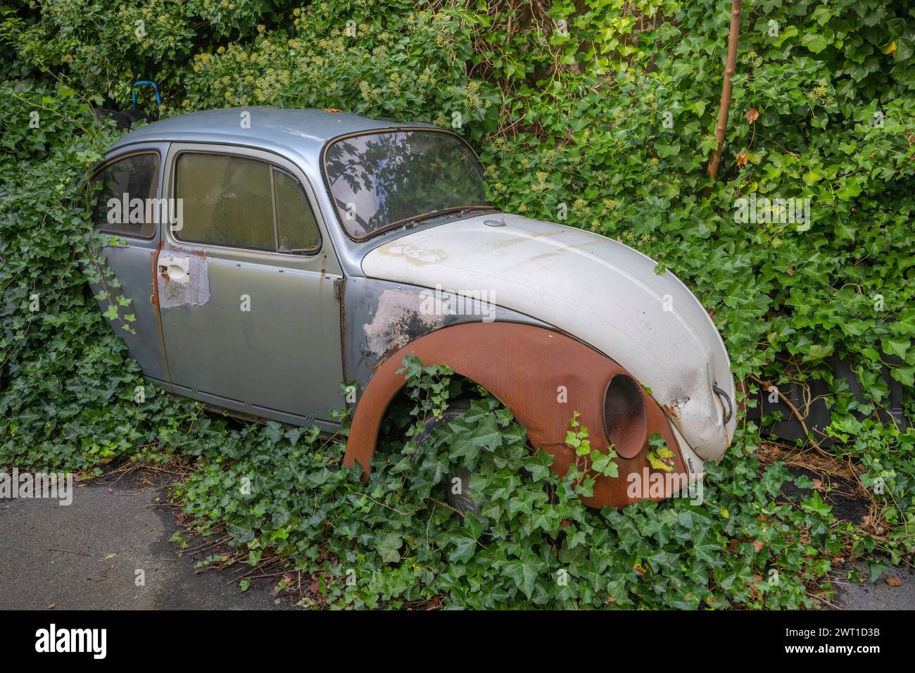 overgrown car wreck, Germany, Hamburg-Altona Stock Photo - Alamy