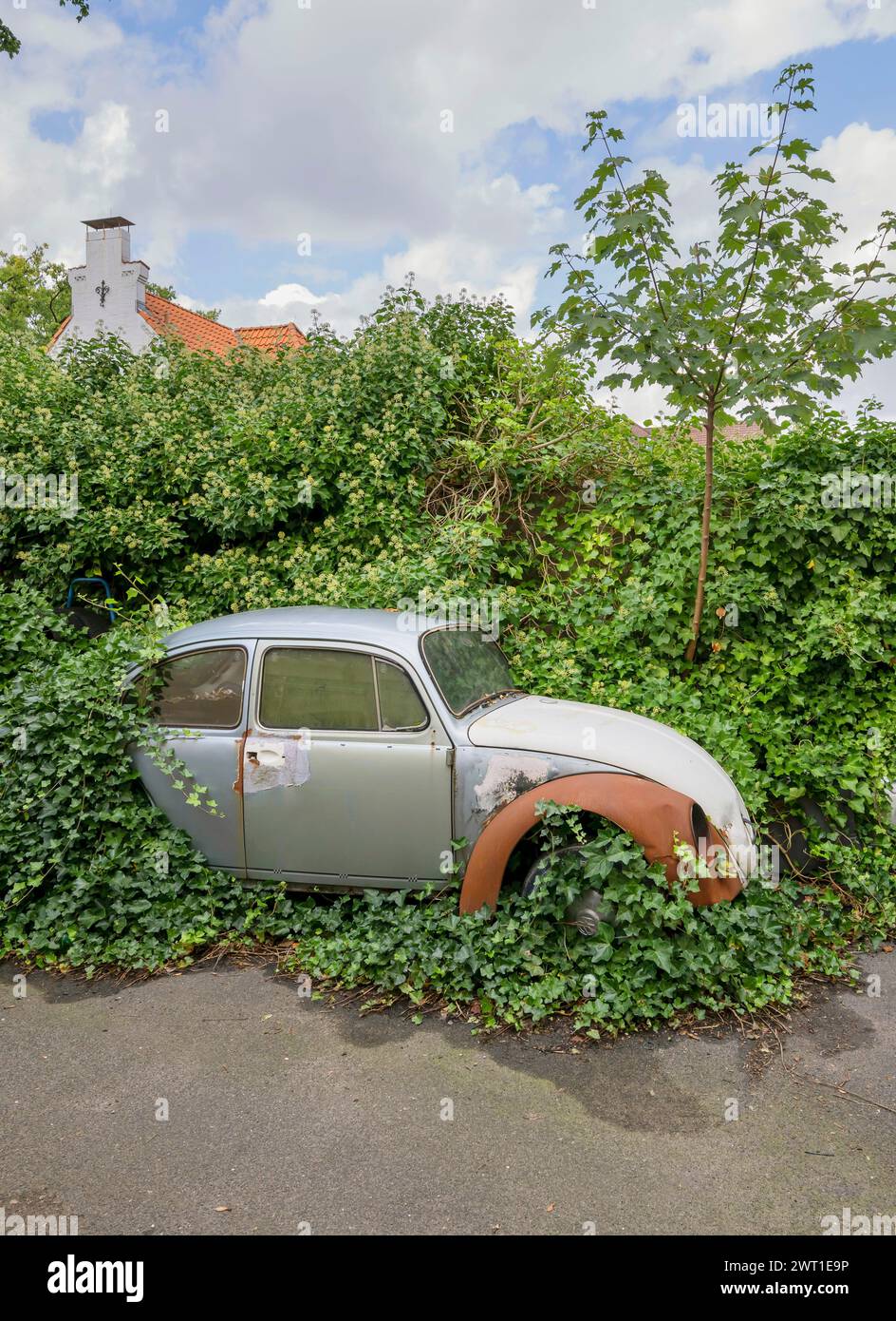 overgrown car wreck, Germany, Hamburg-Altona Stock Photo - Alamy