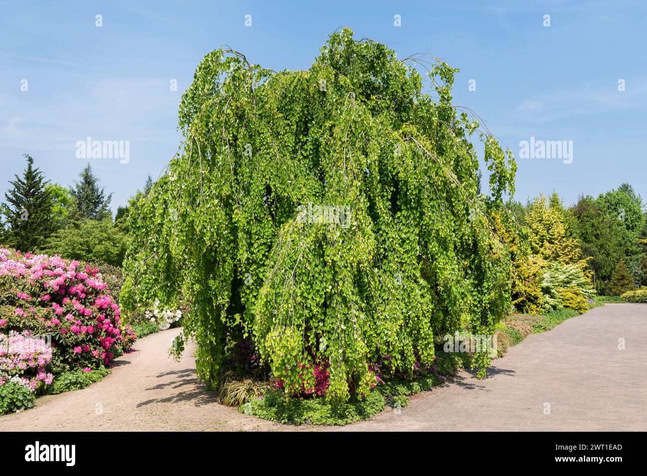 Bundesrepubli hi-res stock photography and images - Alamy