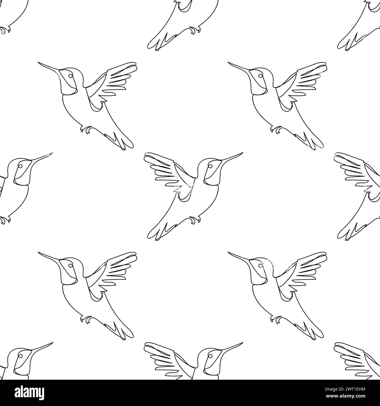 seamless pattern, line hummingbird, white background, line drawing, for ...