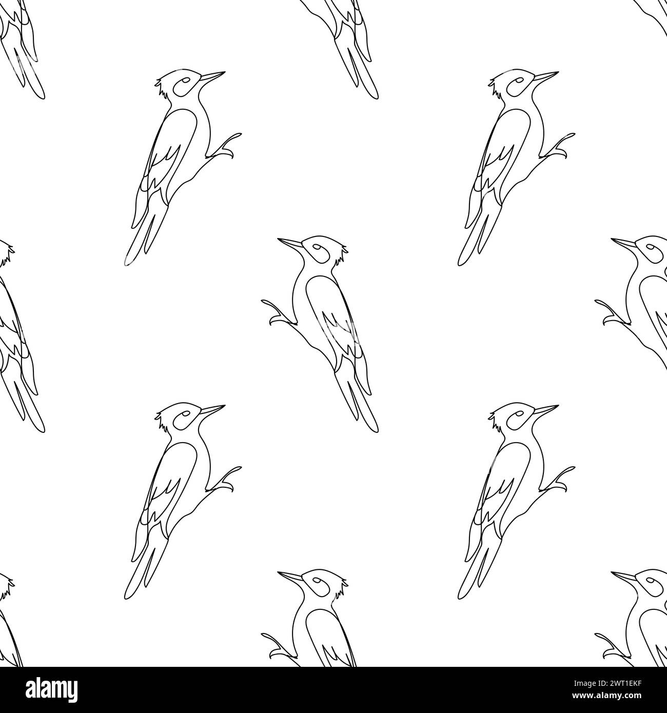 Seamless pattern, line woodpecker, white background, line drawing, for ...