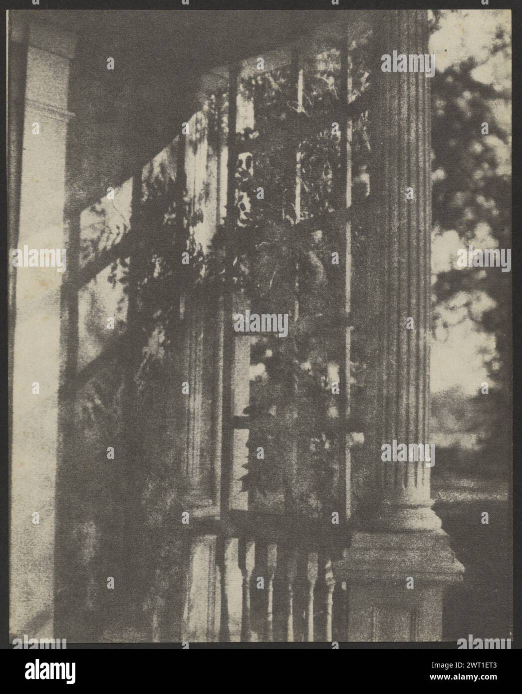Columns and Trellis. Doris Ulmann, photographer (American, 1882 - 1934 ...