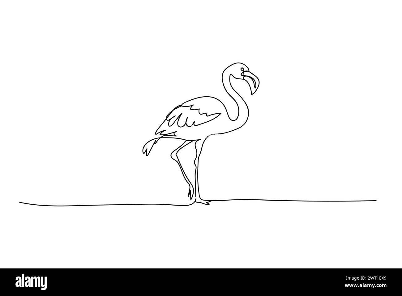 flamingo bird, black line drawing, one line outline on white Stock ...