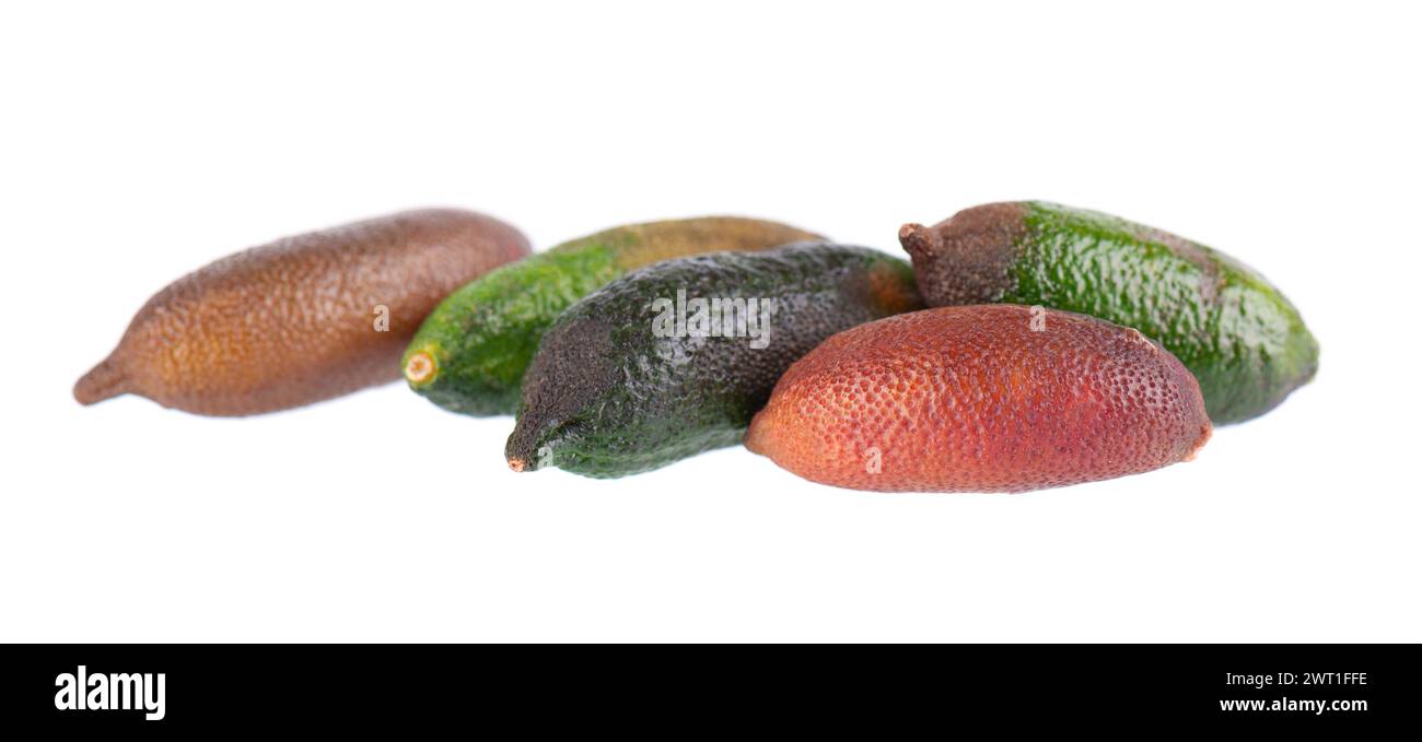 Fresh finger limes isolated on white background. Caviar lime. Fruits ...