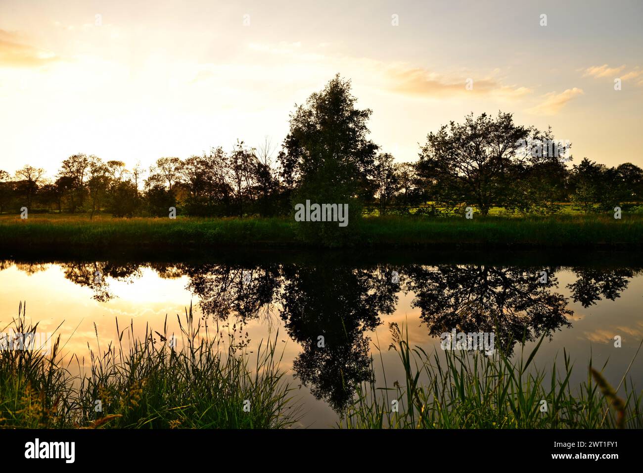 Natur und symmetrie hi-res stock photography and images - Alamy